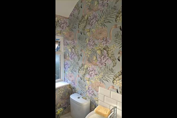 Nick Adonis | Dulux Select Decorators