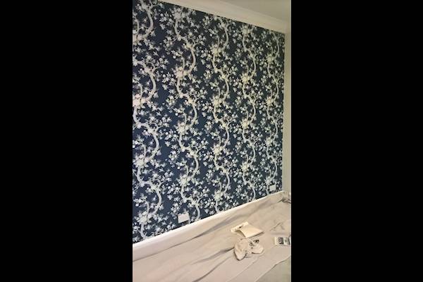 Nick Adonis | Dulux Select Decorators