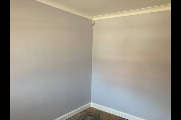 Steven Luxford | Dulux Select Decorators